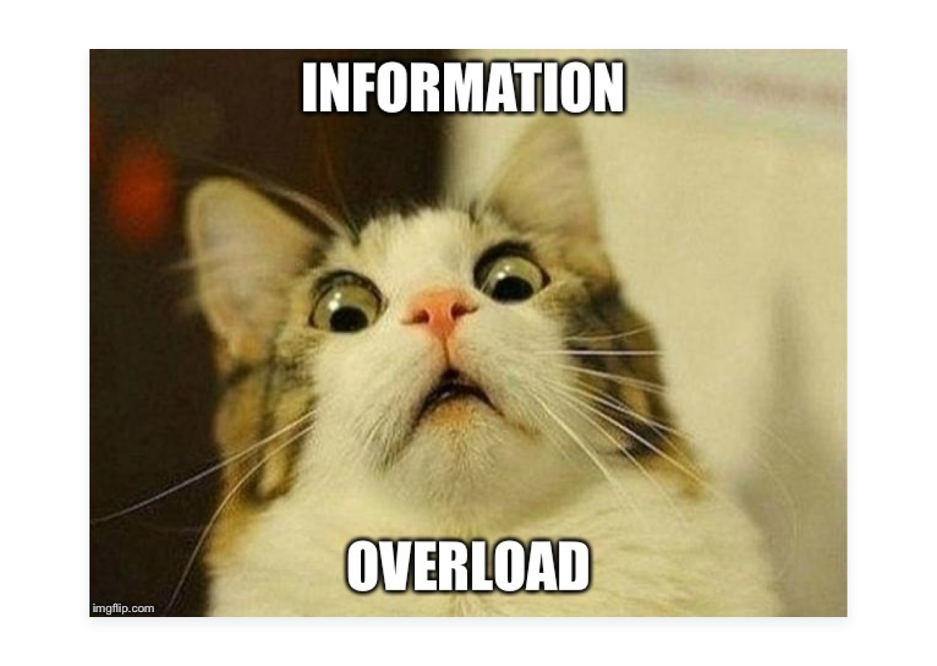 The GoLinks® Blog - Want to Prevent Information Overload in Your Org ...